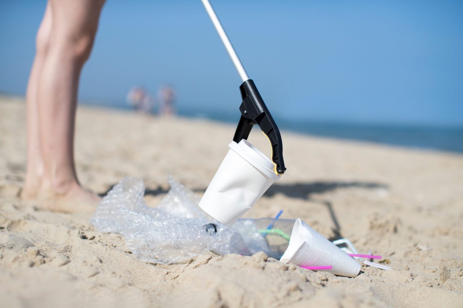 Littering: What It Is & How It Affects The Environment | TDS